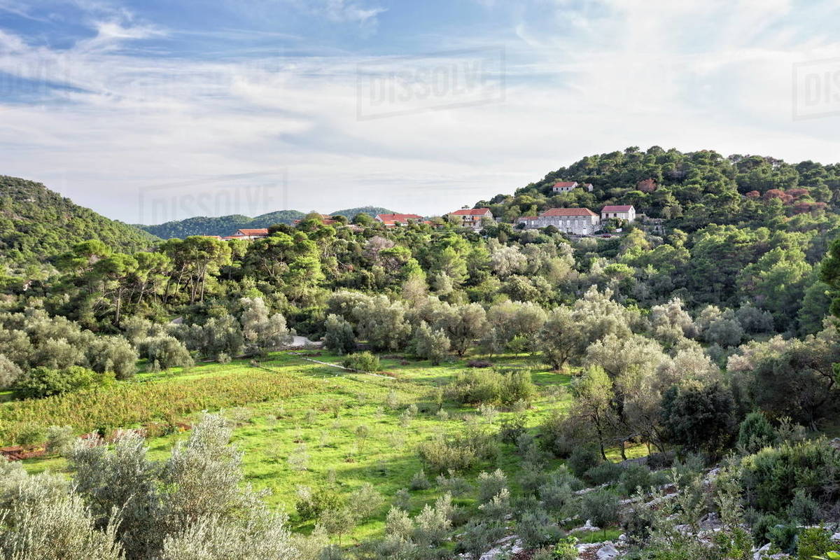 View of hills and village of Govedari on the island of Mljet, Croatia ...