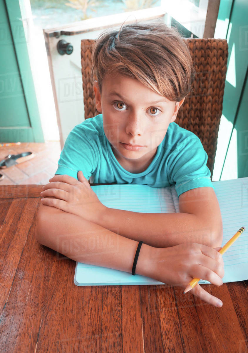 Portrait of boy doing homework at table - Stock Photo - Dissolve