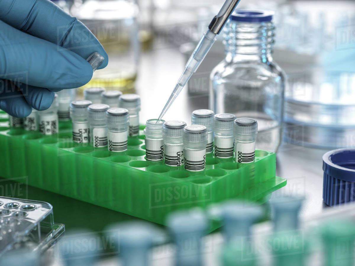 Close-up of scientists gloved hand holding pipette in lab - Royalty ...