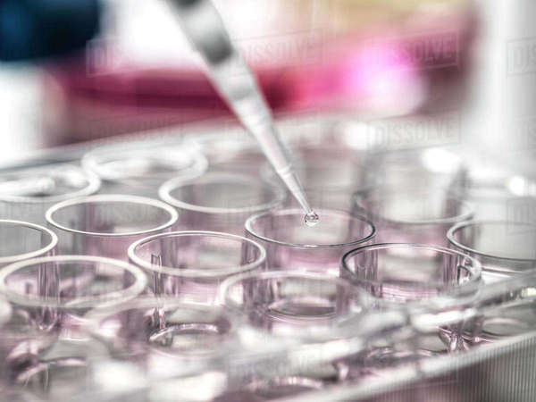 Samples in microplate being tested in laboratory - Royalty-free Stock ...