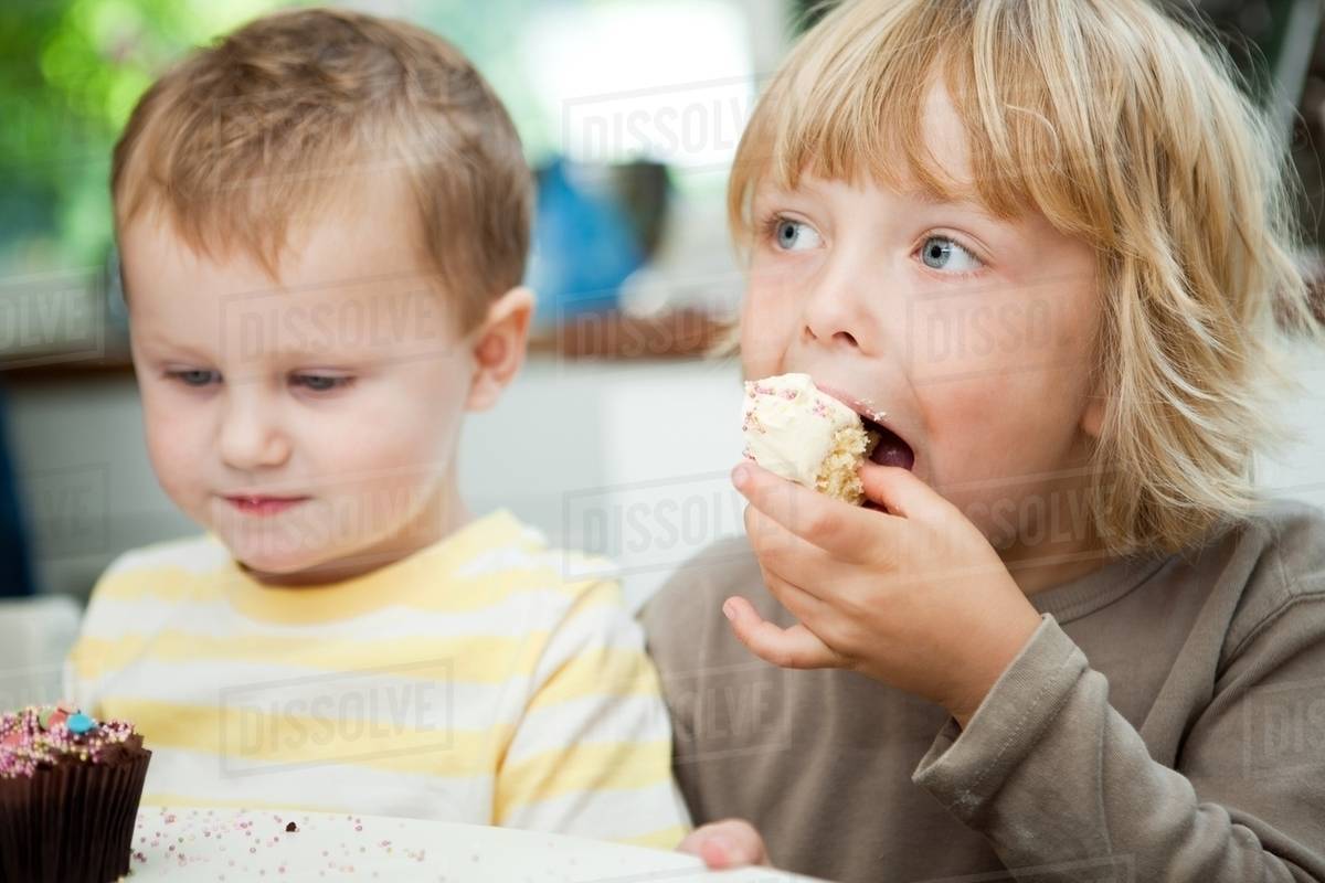 Boys eating cupcakes - Stock Photo - Dissolve
