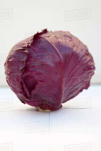 Red cabbage, studio shot - Stock Photo - Dissolve