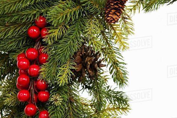 Christmas wreath, studio shot - Royalty-free Stock Photo | Dissolve
