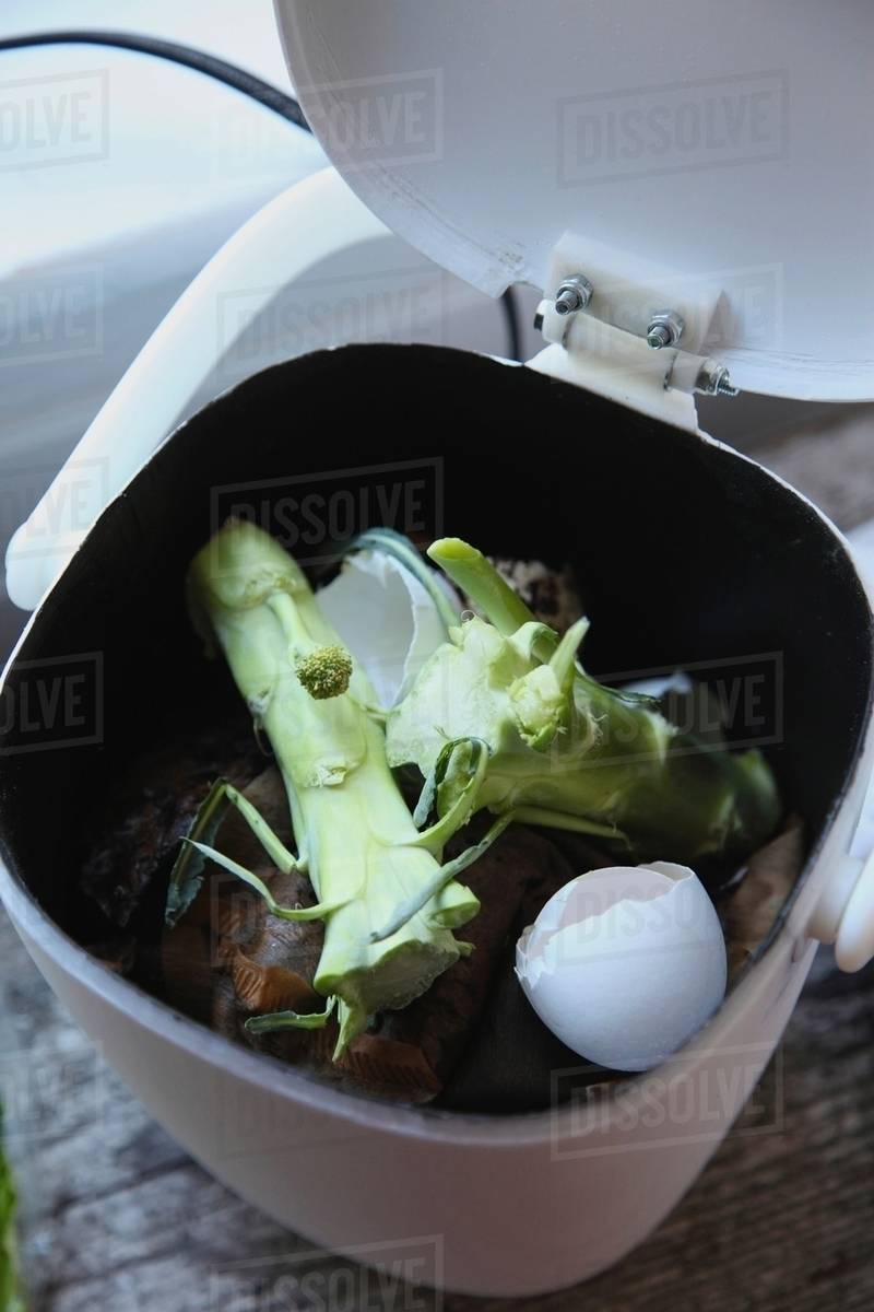 Food waste in compost pail - Royalty-free Stock Photo | Dissolve