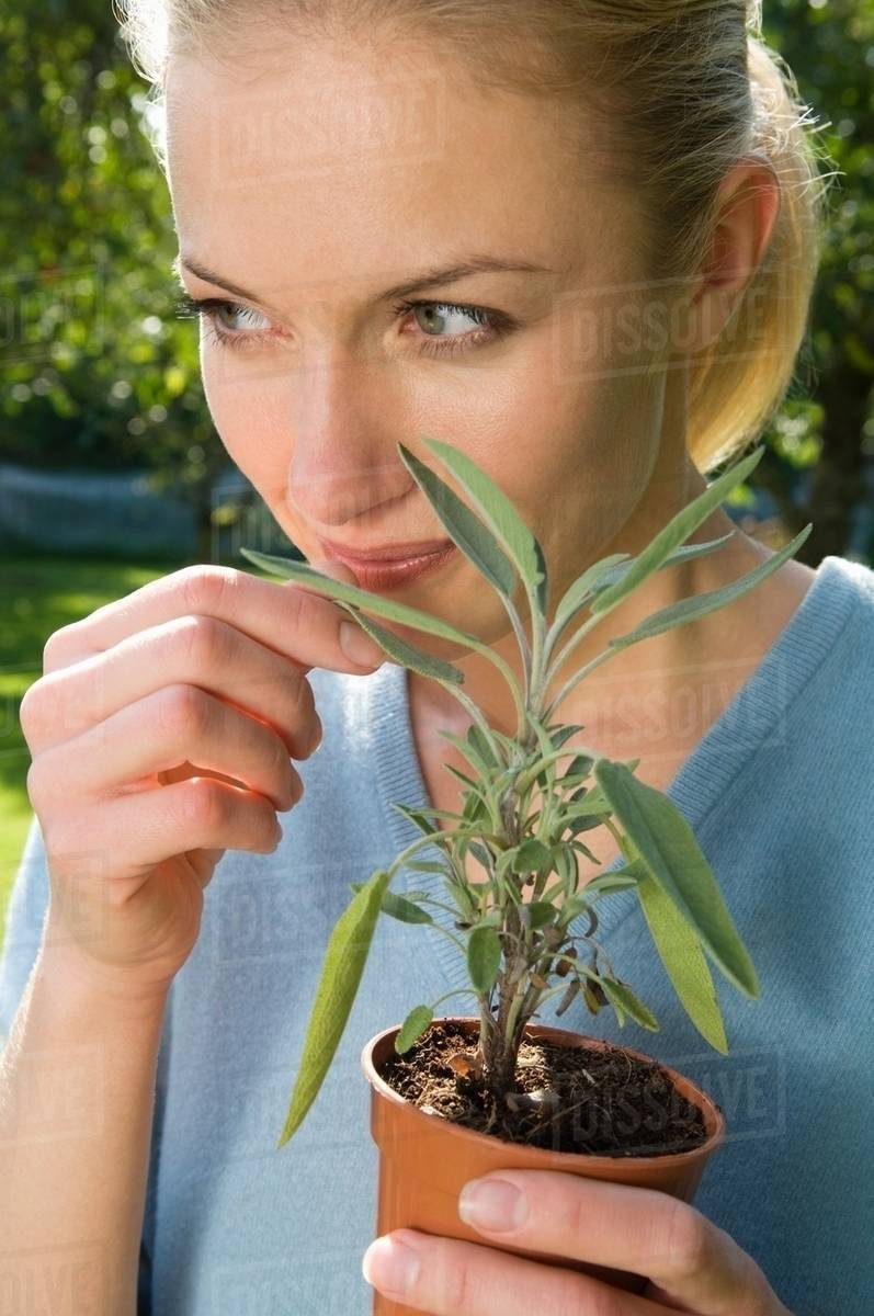 Woman with herb plant - Royalty-free Stock Photo | Dissolve
