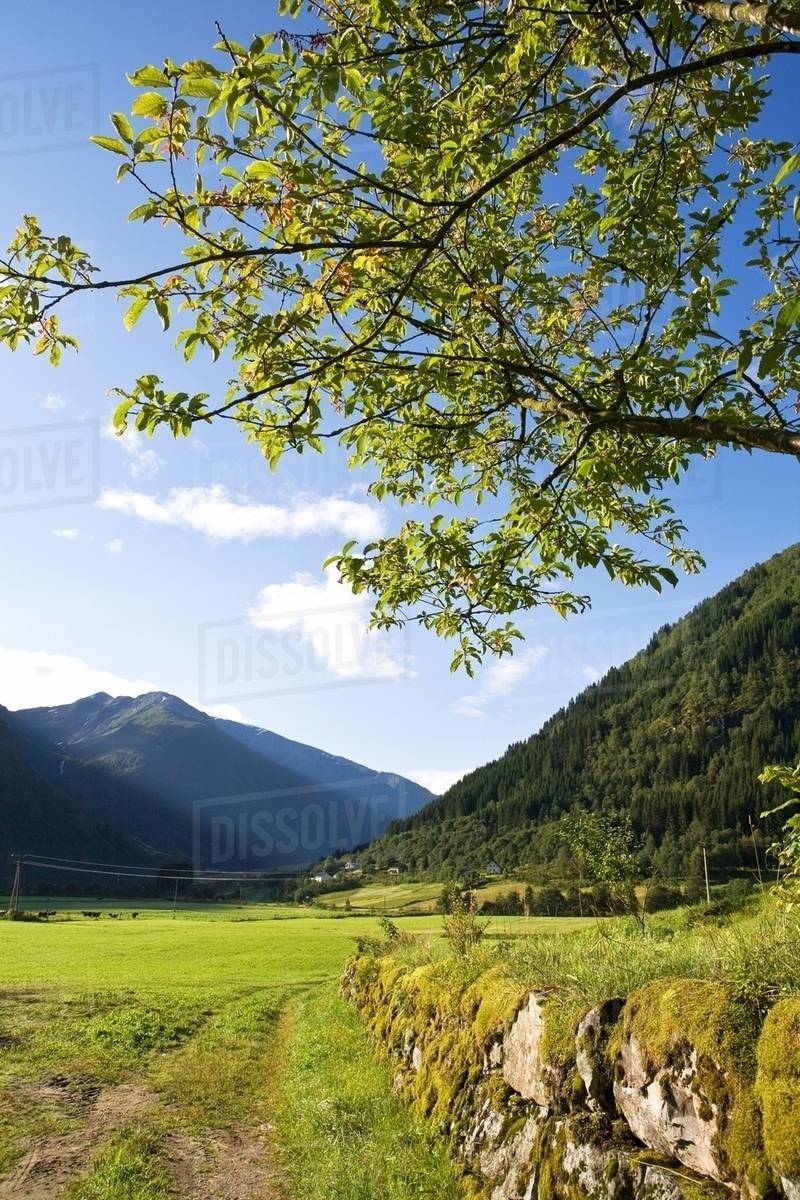 Farmland in mundal - Royalty-free Stock Photo | Dissolve