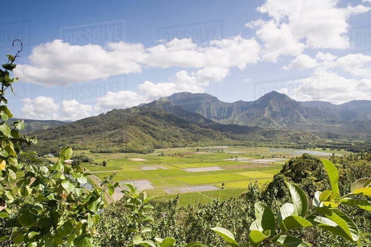 Hanalei valley in kauai - Royalty-free Stock Photo | Dissolve