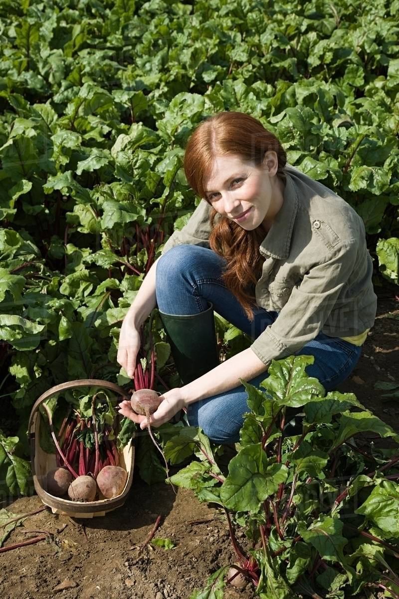 Young woman with fresh beetroot in basket - Stock Photo - Dissolve
