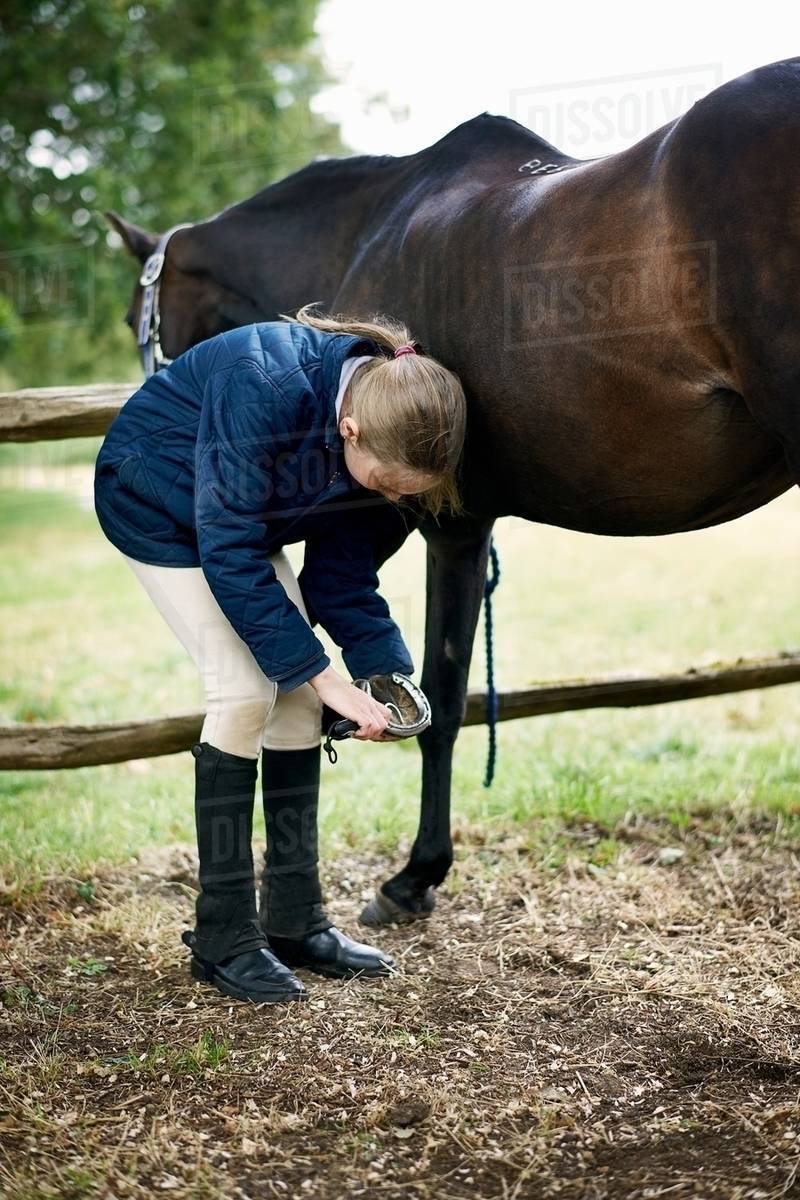Girl checking horses hoof - Royalty-free Stock Photo | Dissolve