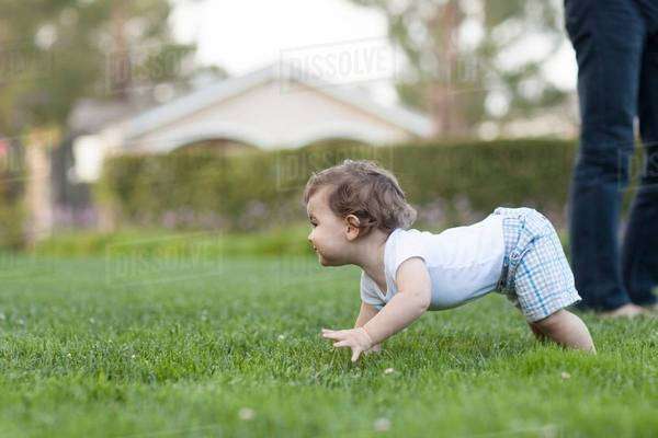Side view of baby boy crawling on grass - Royalty-free Stock Photo ...