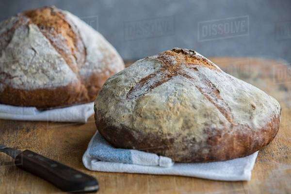 Freshly baked panella bread - Royalty-free Stock Photo | Dissolve