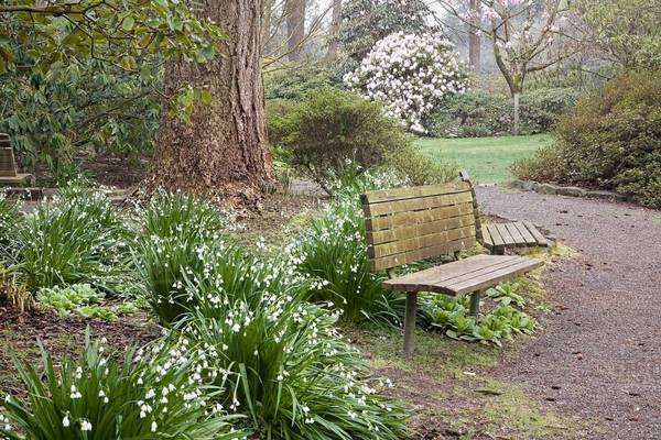 Crystal springs garden in oregon - Royalty-free Stock Photo | Dissolve