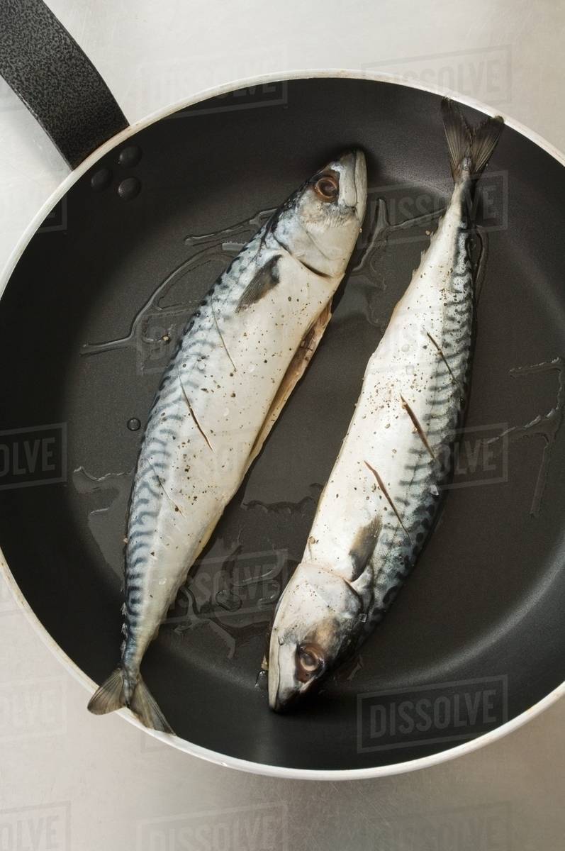 Frying fish - Stock Photo - Dissolve