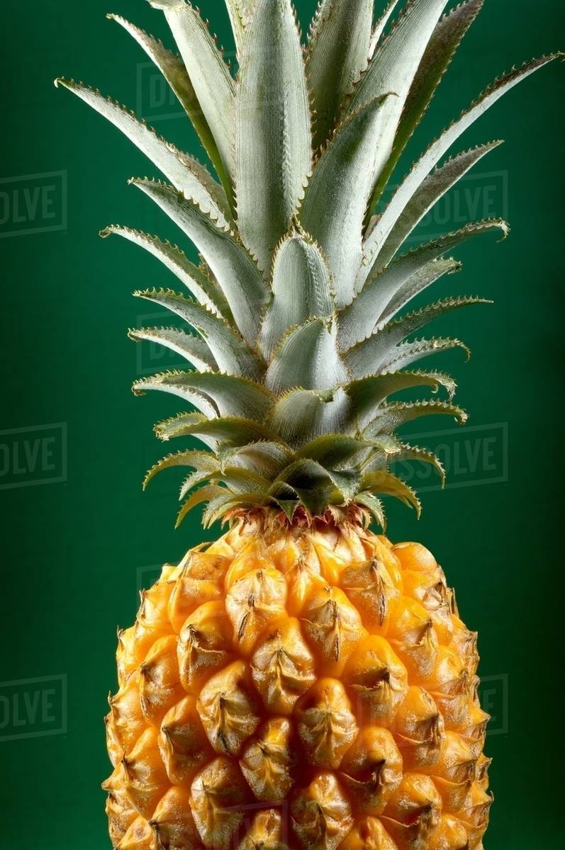 Pineapple on green background - Stock Photo - Dissolve
