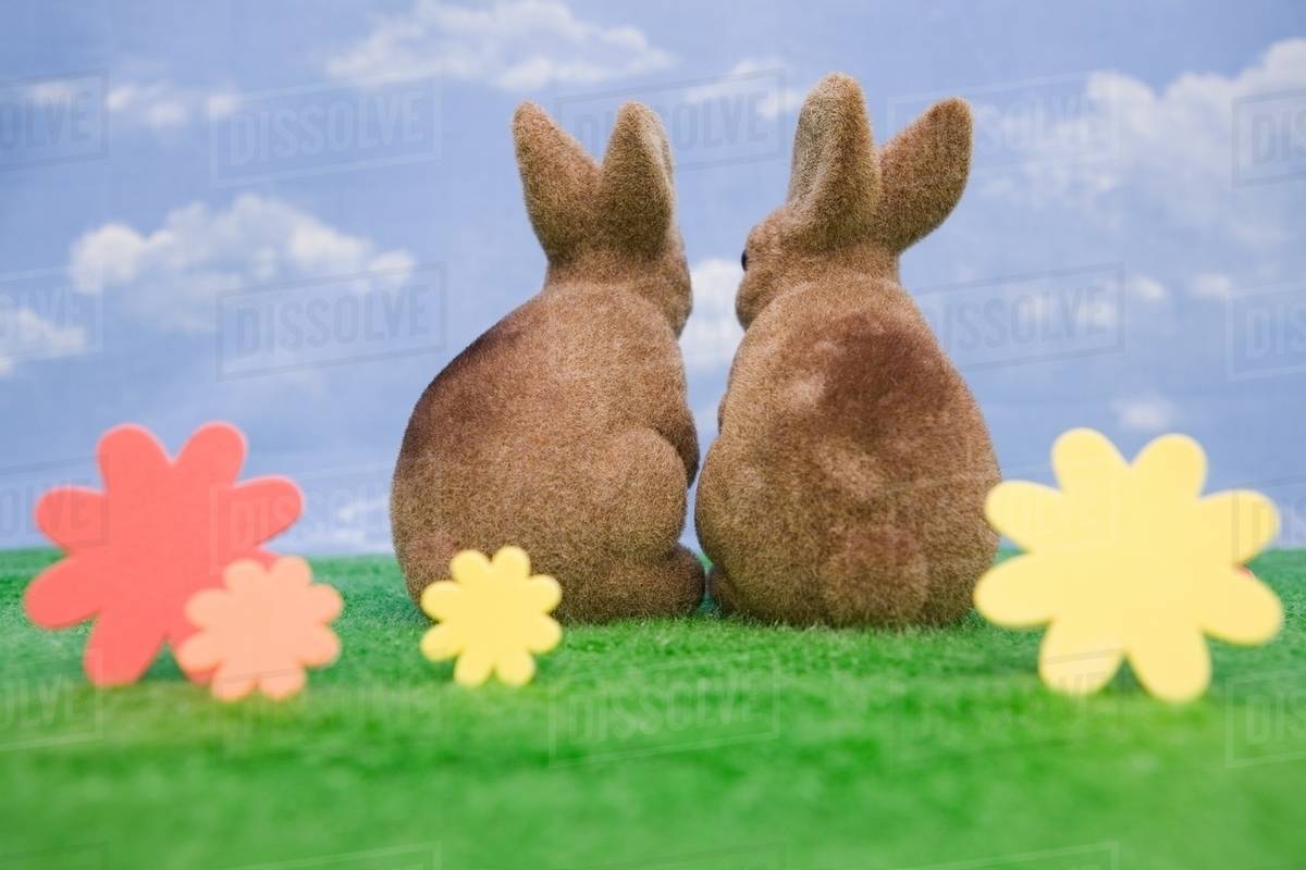 Rear view of two rabbits - Royalty-free Stock Photo | Dissolve