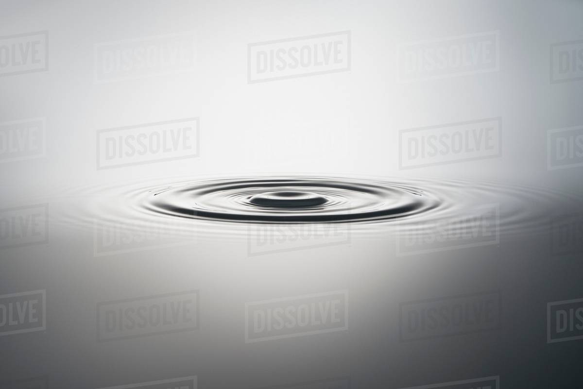 Circles rippling on water surface - Stock Photo - Dissolve