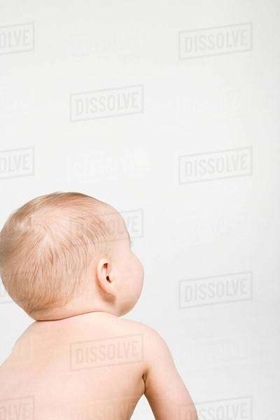 Rear view of a baby boy - Royalty-free Stock Photo | Dissolve