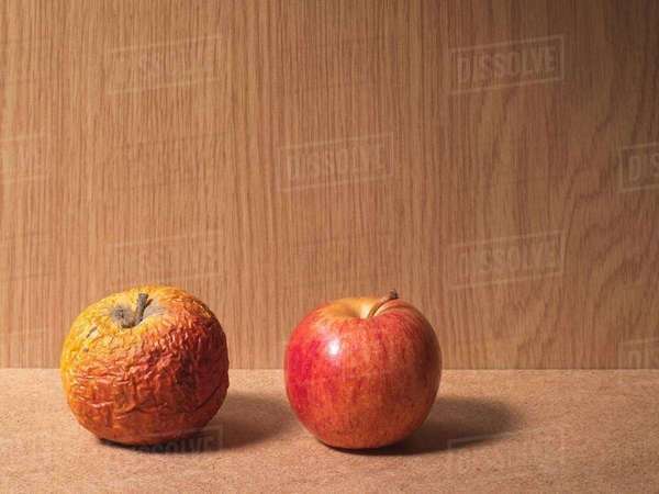 A rotten apple and a ripe apple - Royalty-free Stock Photo | Dissolve
