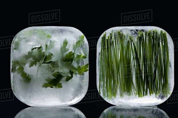 Frozen herbs - Royalty-free Stock Photo | Dissolve