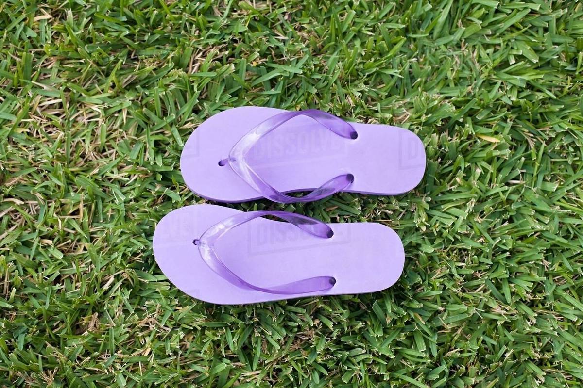 Purple flip flops - Royalty-free Stock Photo | Dissolve