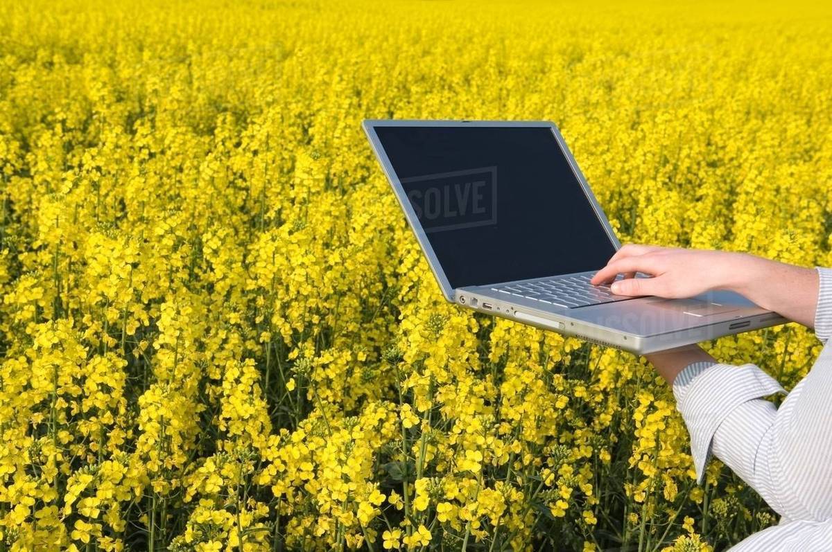 Person with laptop in field - Royalty-free Stock Photo | Dissolve