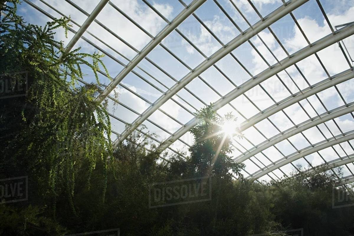 Sunlight through large greenhouse - Royalty-free Stock Photo | Dissolve