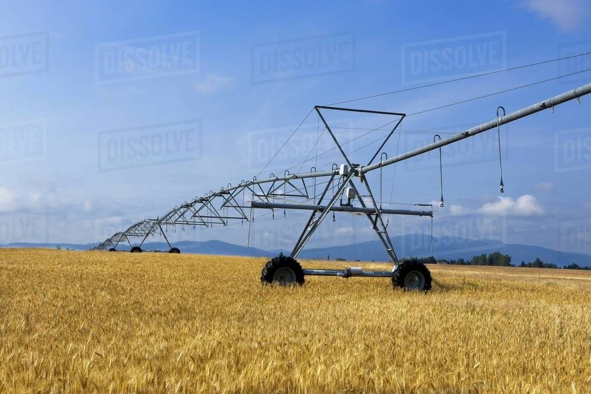 Large irrigation pipe system stands in an already harvested farm field ...