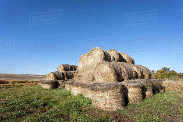 Large bundles of hay are stacked and ready in the Palouse region of ...
