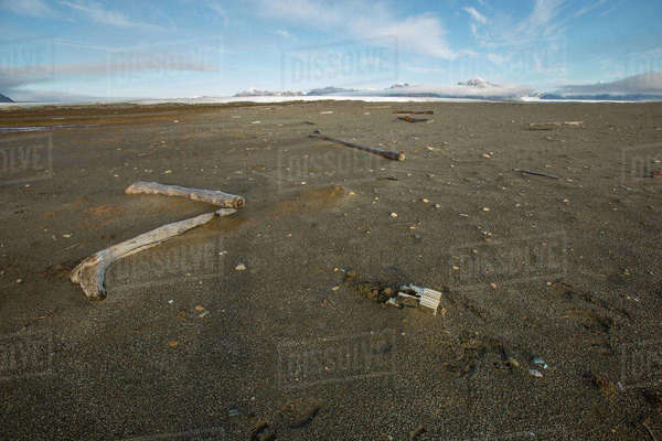 Plastic pollution in Arctic coast. - Stock Photo - Dissolve