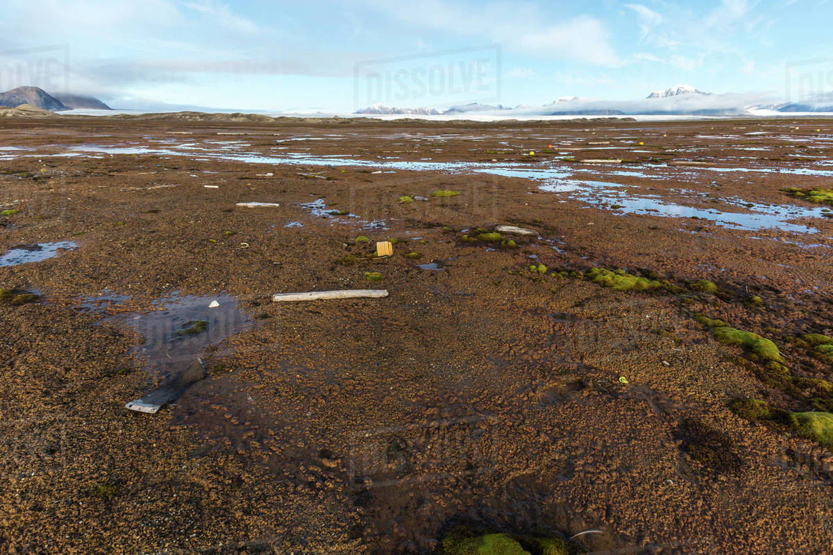 Plastic pollution in Arctic coast. - Royalty-free Stock Photo | Dissolve