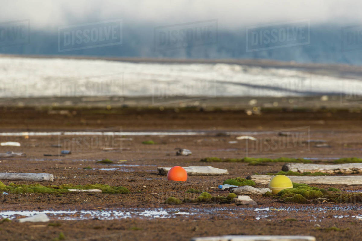 Plastic pollution in Arctic coast. - Royalty-free Stock Photo | Dissolve