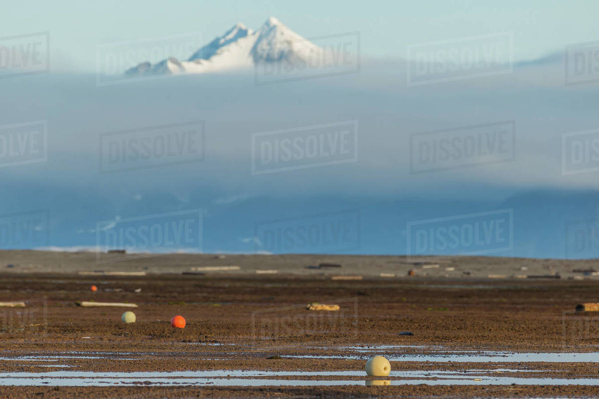 Plastic pollution in Arctic coast. - Royalty-free Stock Photo | Dissolve