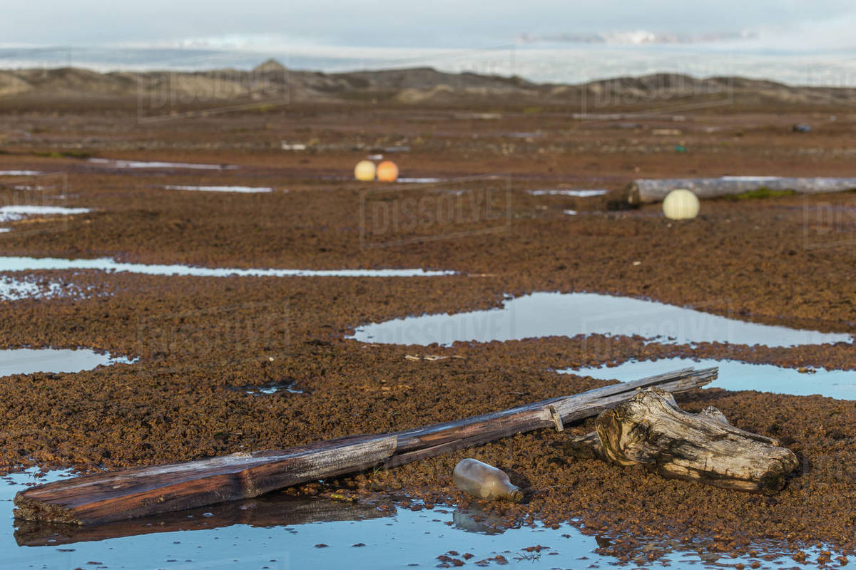 Plastic pollution in Arctic coast. - Royalty-free Stock Photo | Dissolve