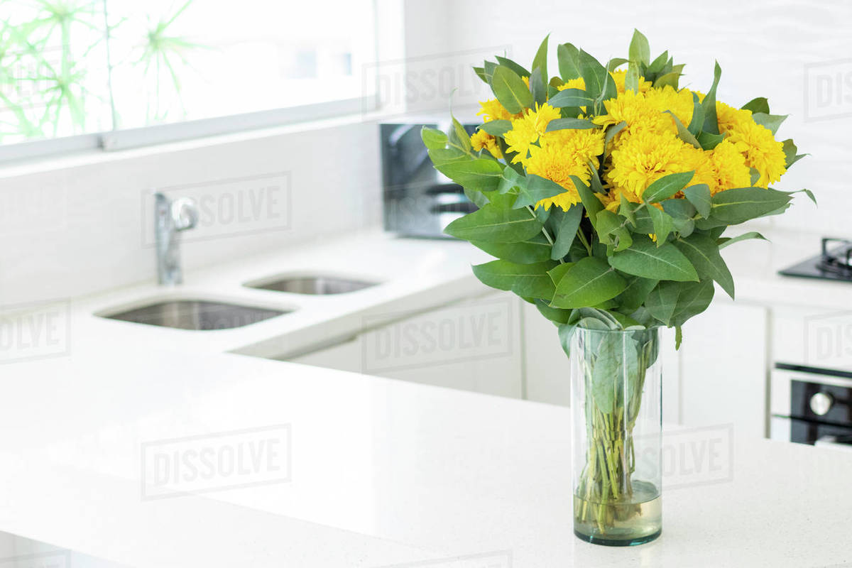 Cute flower arrangement in a home kitchen - Stock Photo - Dissolve