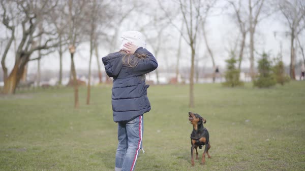 Wide shot, small dog barking at little Caucasian girl in park. Scared ...