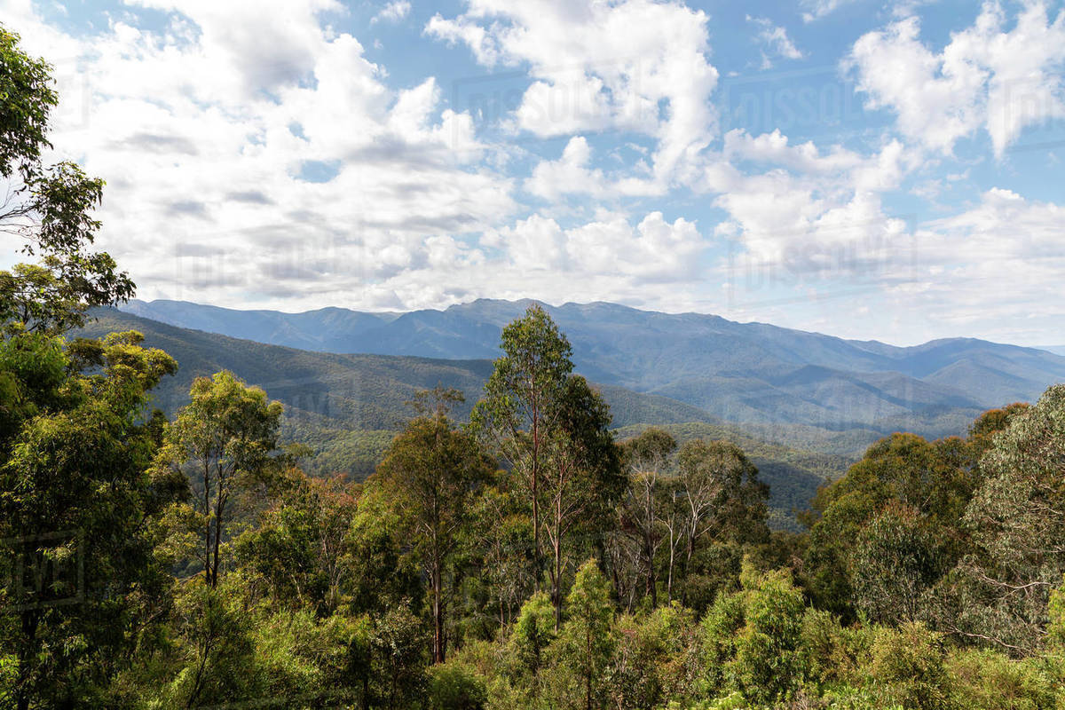 Photograph of a large mountain ridge line and valley in the Snowy ...