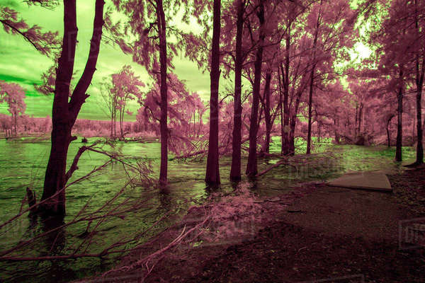 Infrared photograph of flooding in the Nepean River near the Great ...
