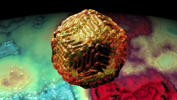 Zika virus, animation. This is an RNA (ribonucleic acid) virus from the ...