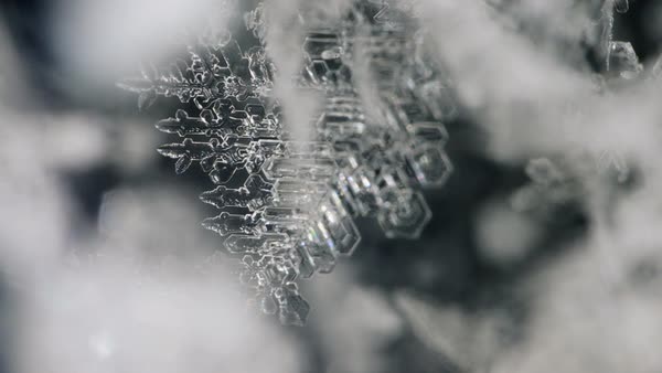 Ice crystal growth. Time-lapse microscope of dendritic ice crystals ...