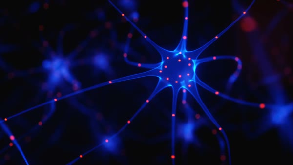Neuron animation. Neurons are nerve cells that send and receive signals ...