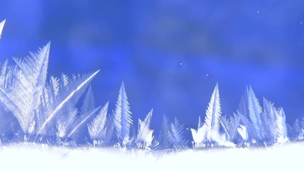 Ice crystal growth. Time-lapse microscope of dendritic ice crystals ...