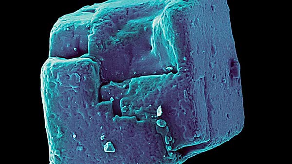 Animated coloured scanning electron micrograph (SEM) of Table salt ...