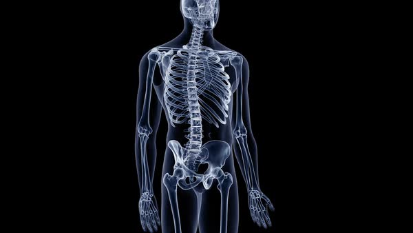 Human skeleton against a black background, zooming in to painful wrist ...