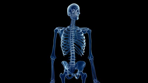 Human skeleton against a black background, zooming in to painful jaw ...