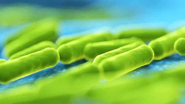 Bacteria multiplying - 4K Royalty-free Stock Video Footage | Dissolve