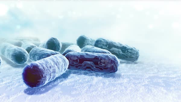 Animation of synthetic bacteria communicating. The bacteria are covered ...