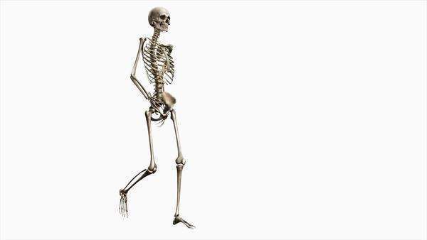 Computer animation of the female skeletal system walking on a white ...