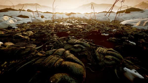 Ordovician Silurian Extinction Ordovician–Silurian True Polar Wander