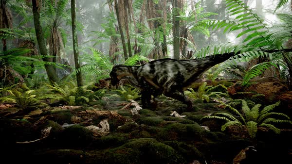 Dromaeosaurus dinosaurs, animation - HD Rights-managed Stock Video ...