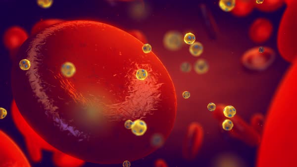 High-density lipoproteins in the blood, animation - 4K Rights-managed ...
